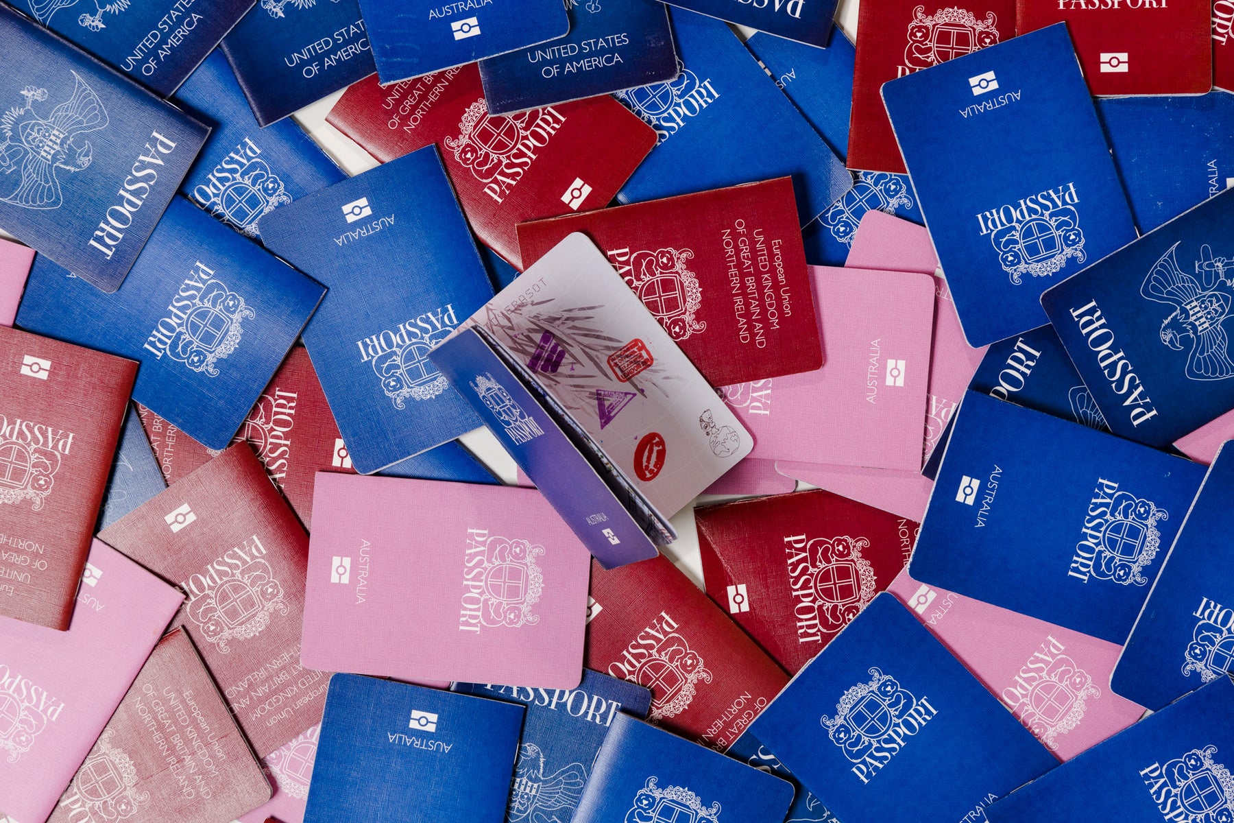 Teddy Bear Passports