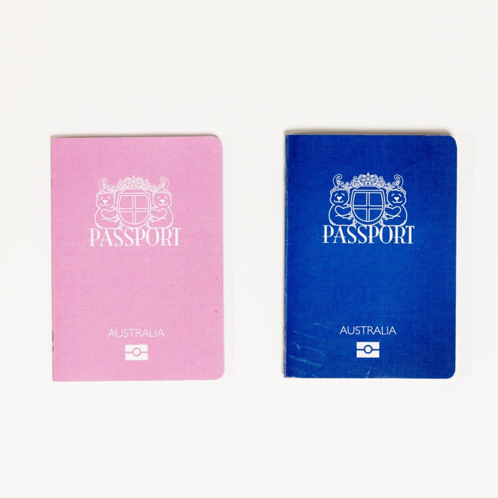 Teddy Bear Passports