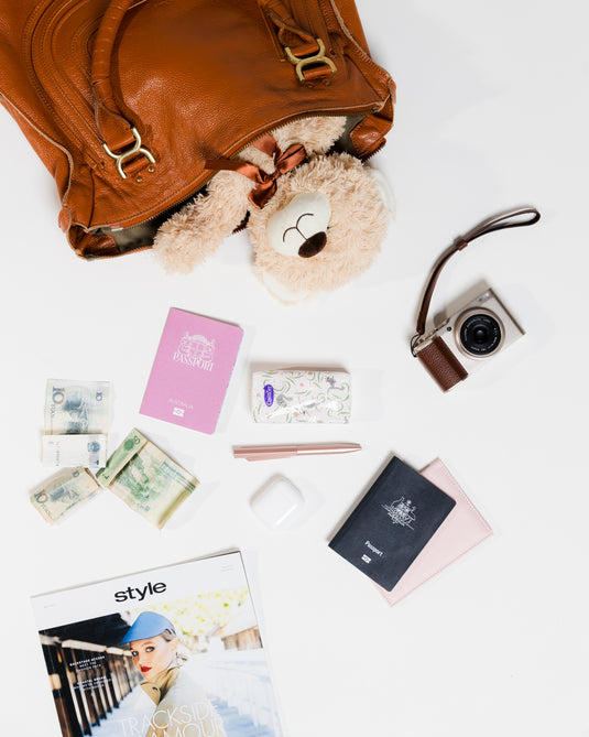 Teddy Bear Passports