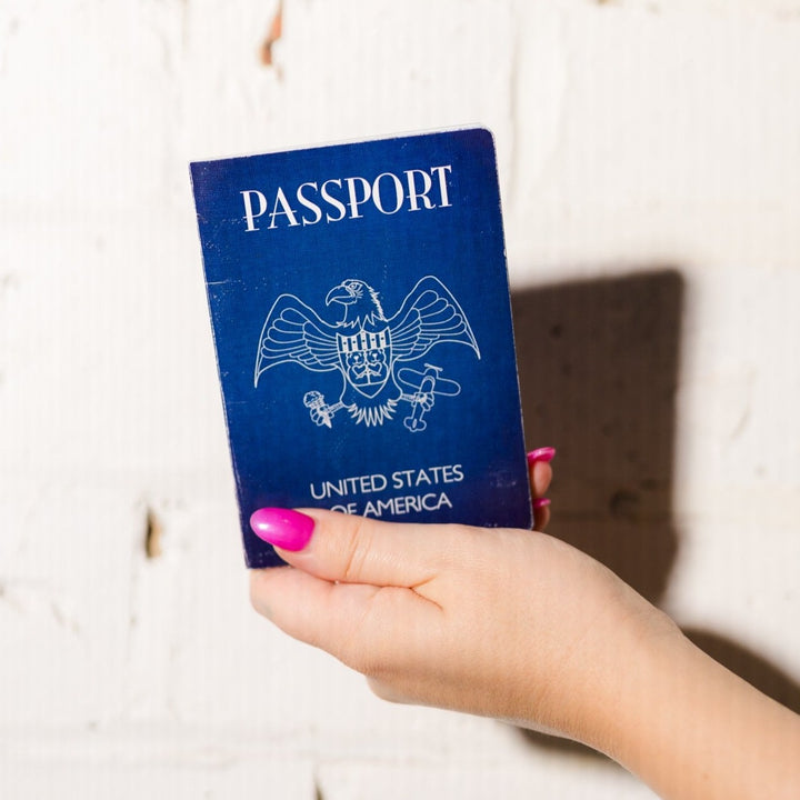 Teddy Bear Passports